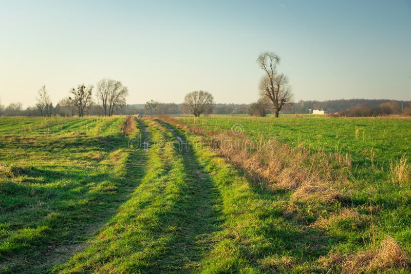 Grassy Road through the Fields, Horizon and Sky Stock Image - Image of ...