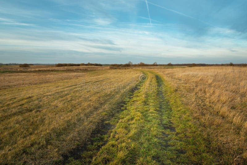 A Grassy Road, Meadows with Dry Grasses and Evening Sky Stock Photo ...