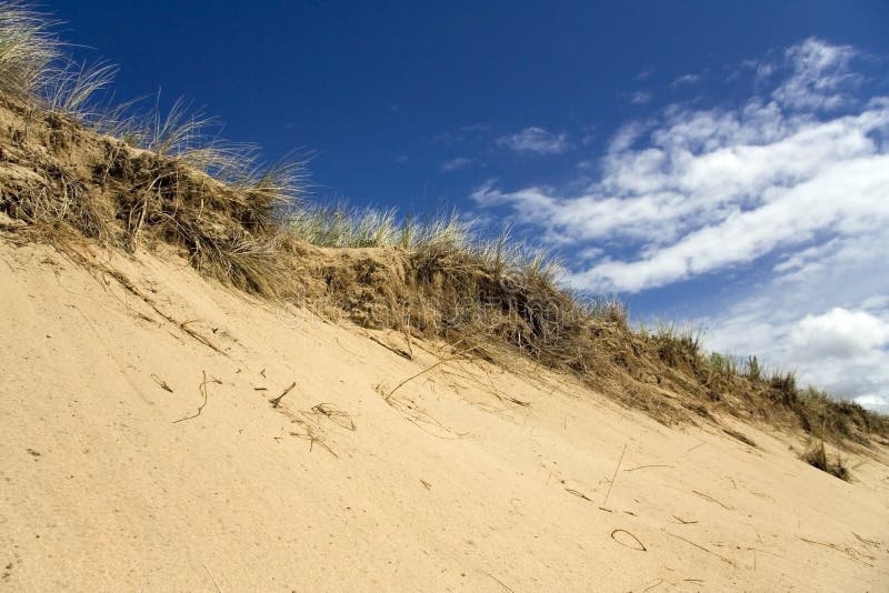 Grassy sand dunes stock image. Image of coast, seashore - 5807389