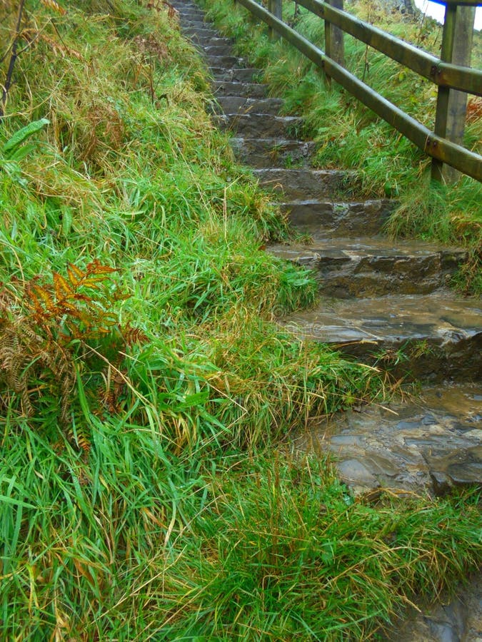 Grassy Steps stock photo. Image of ireland, grassy, causeway - 49642900