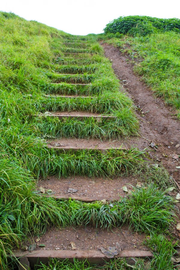Grassy steps stock photo. Image of summer, grass, steps - 44984442