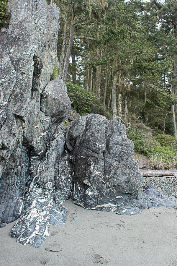Grassy Stone Cliffs Over the a Beach with Pine Trees Covering it Stock ...