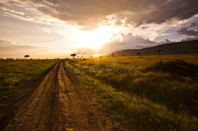 Grassy Track stock image. Image of wildlife, vacation - 22645215