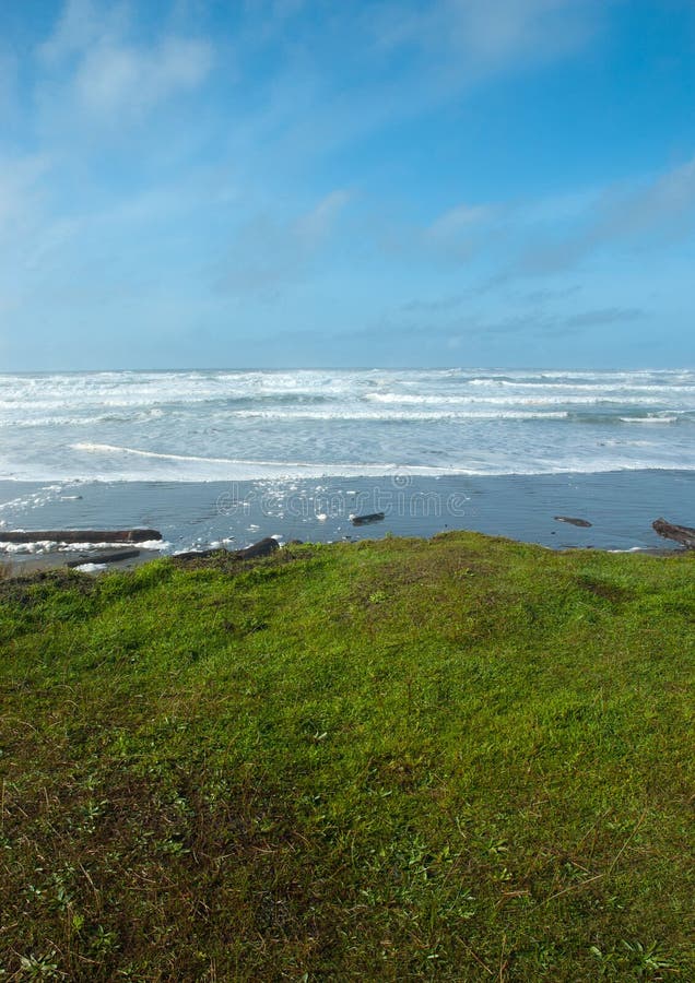 Grassy View Out to Sea stock photo. Image of nature, shore - 26197784