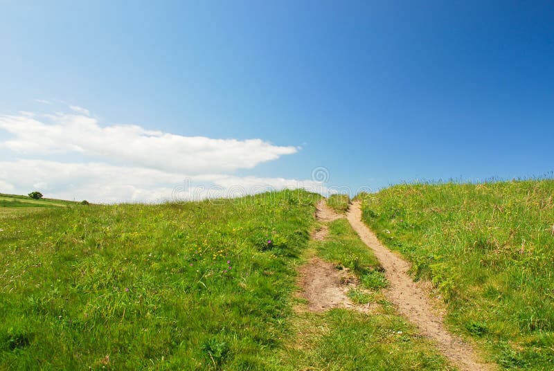Grassy walkway stock photo. Image of road, landscape - 44595328