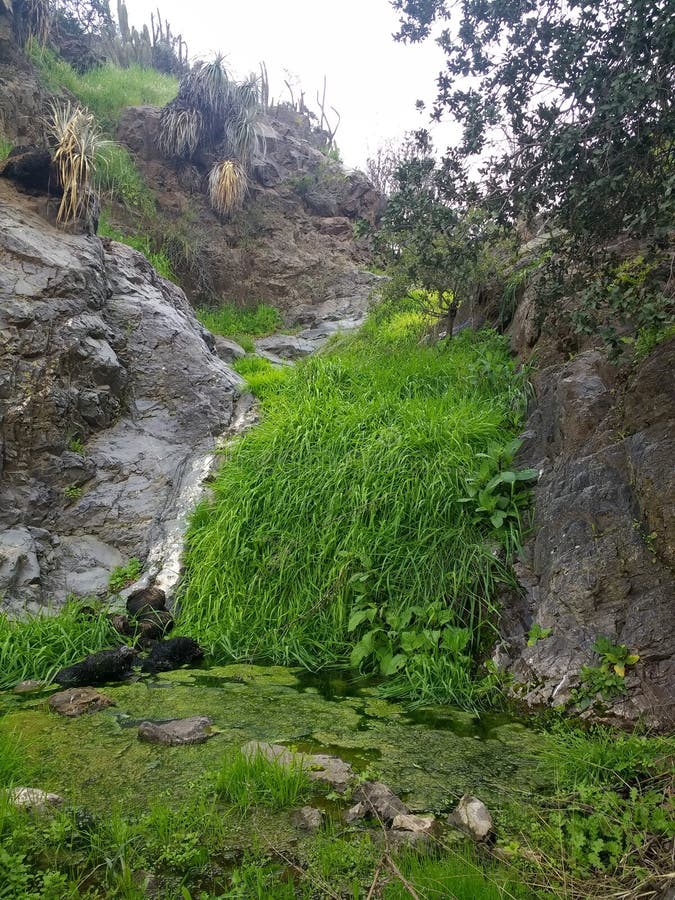 Grass waterfall stock image. Image of waterfall, mountain - 105759661