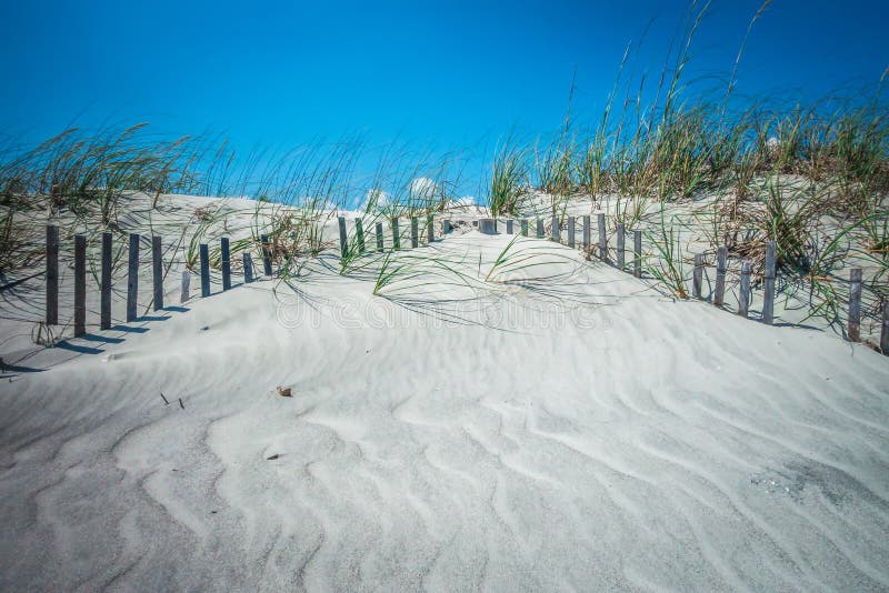 Grassy Windy Sand Dunes on the Beach Stock Photo - Image of grass ...
