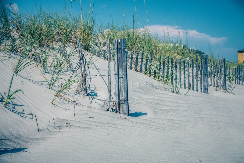 Grassy Windy Sand Dunes on the Beach Stock Image - Image of coast ...