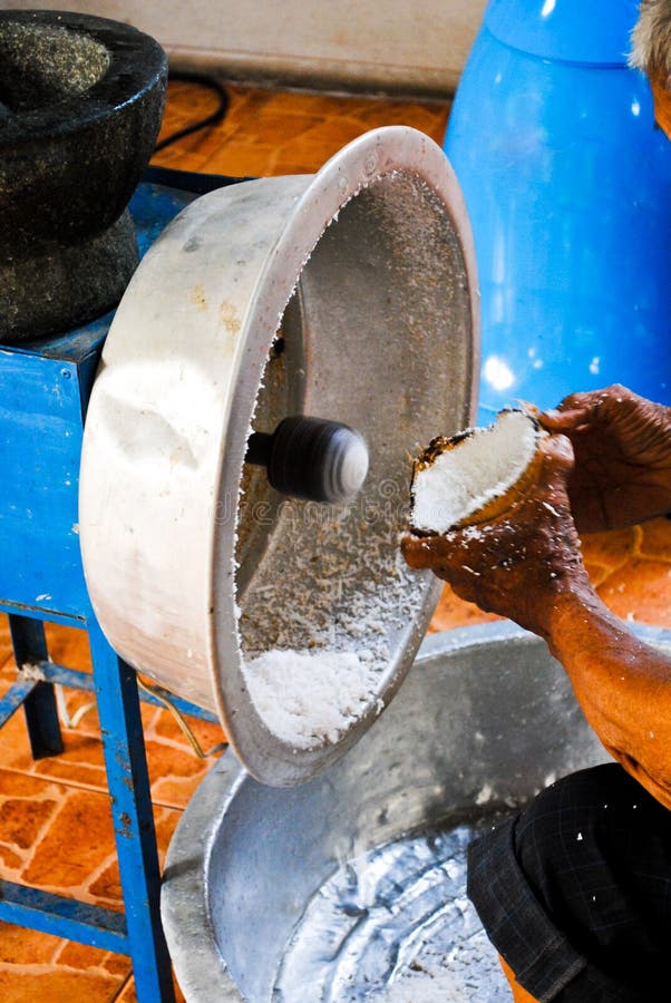Grate coconut with grater stock photo. Image of bowl - 22111180