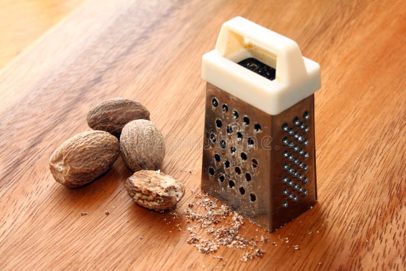 Nutmeg stock photo. Image of length, greater, aromatic - 37730898