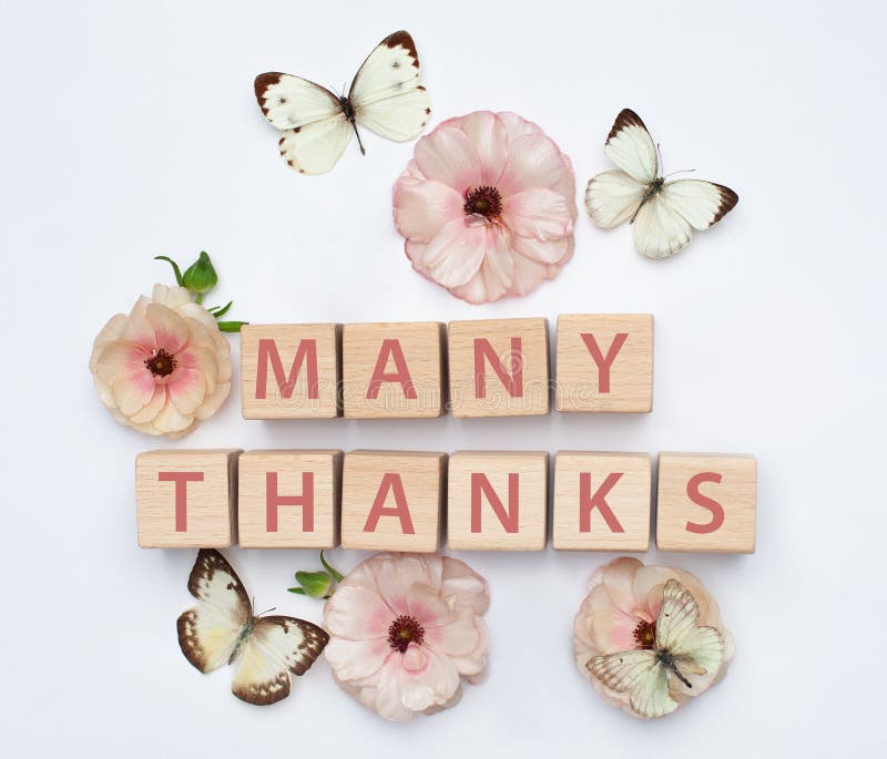 Grateful Banner Card Background with Many Thanks and Flowers Stock ...