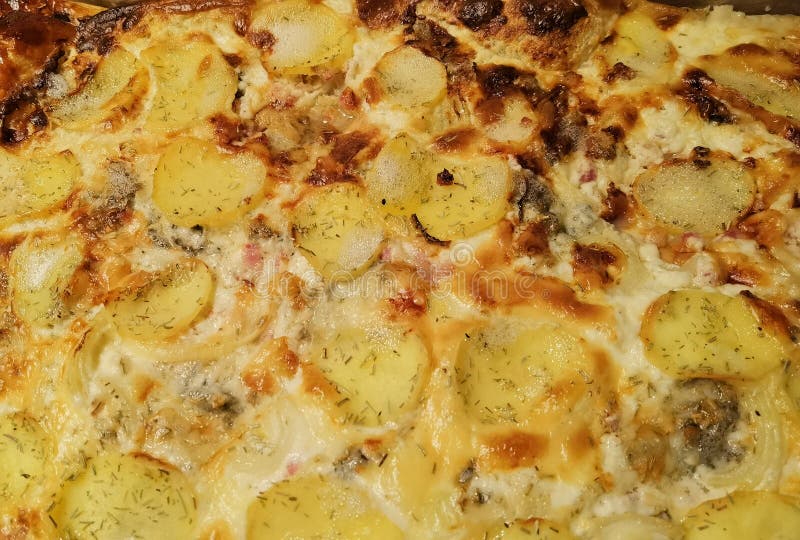 Gratinated potato gratin stock image. Image of cuisine - 241846839