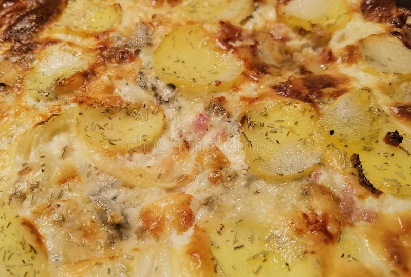 Gratinated potato gratin stock photo. Image of breakfast - 241846850