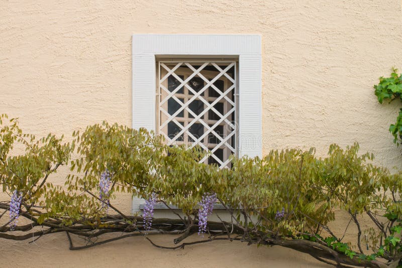 Window Surrounded by Nature Stock Image - Image of sculpture, building ...