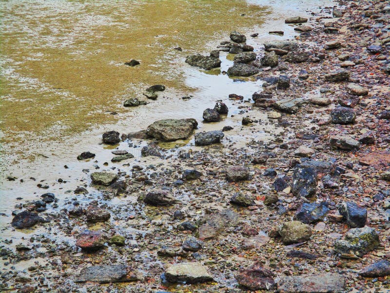 Grava Y Piedras En La Arena Imagen de archivo - Imagen de arena ...