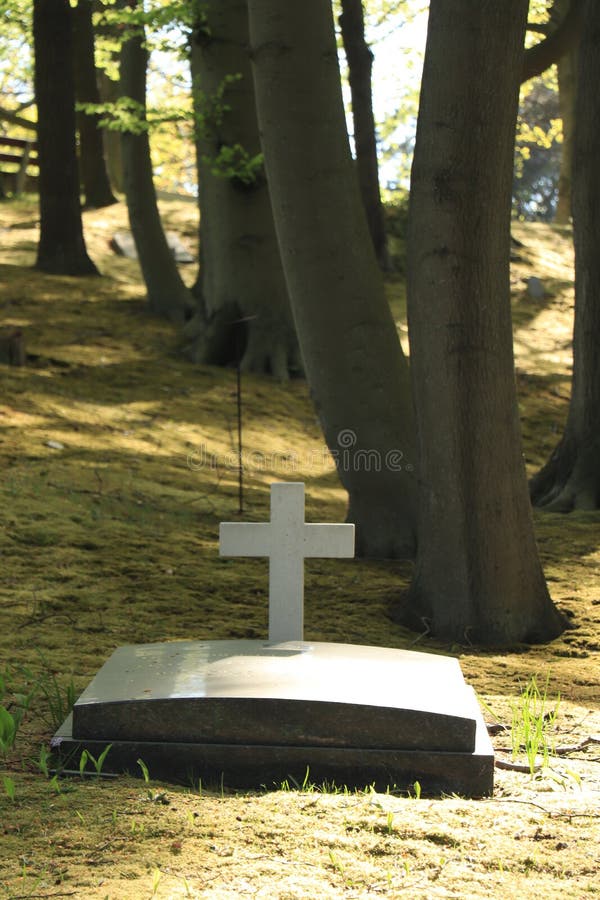 Grave in a forest cemetery stock image. Image of nature - 181573625