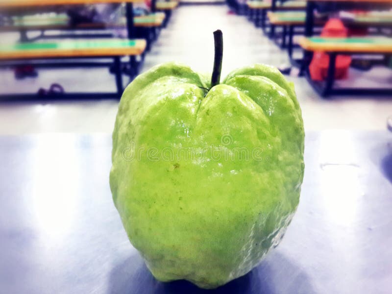 Grave stock photo. Image of grave, colour, green, fruit - 45986018