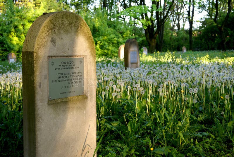 Grave, Headstone, Grass, Cemetery Stock Image - Image of headstone ...