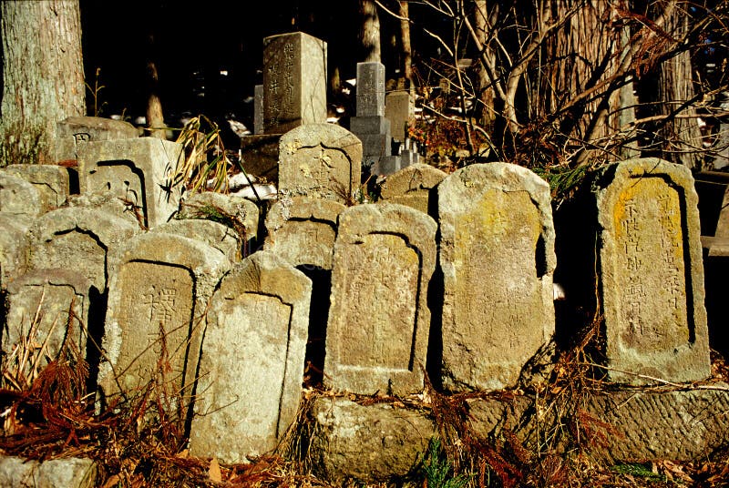Rusty Iron Cemetary Fence stock photo. Image of buried, iron - 39560