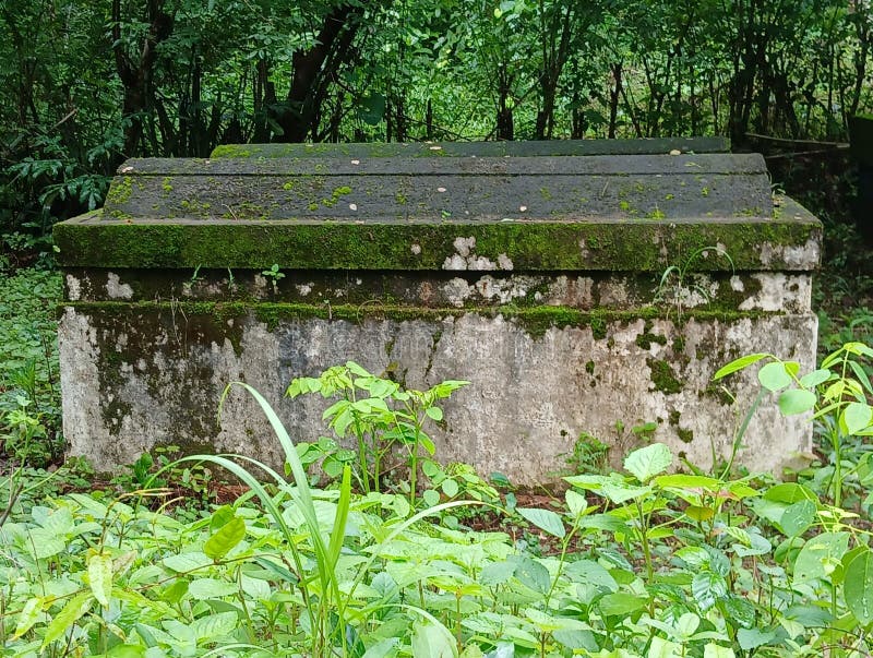 Grave Yard Cemetery Burial Ground Stock Image - Image of yard, ground ...