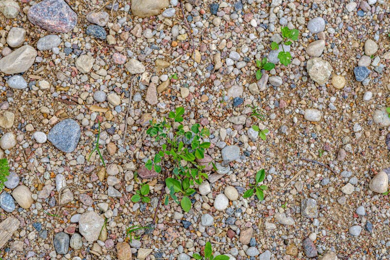 Gravel Dirt Road Texture With Sand And Pebbles Stock Image - Image of ...
