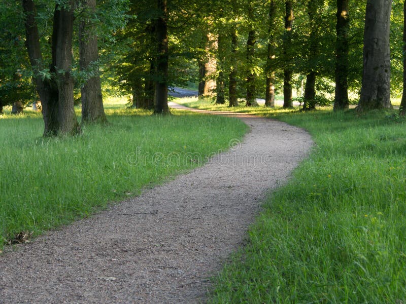 Gravel Footpath in the Shade of Tall Trees Stock Image - Image of ...