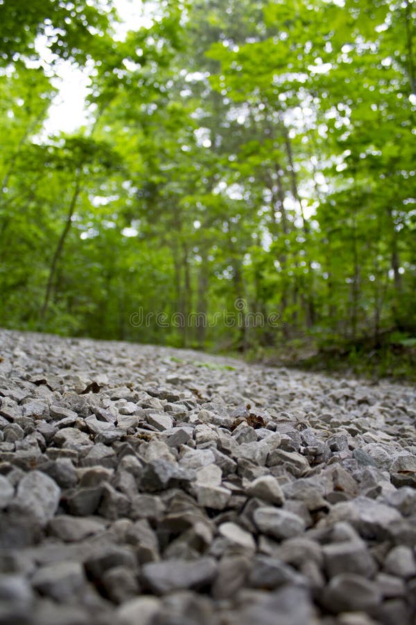 Gravel in forest stock photo. Image of greenery, forest - 303520344