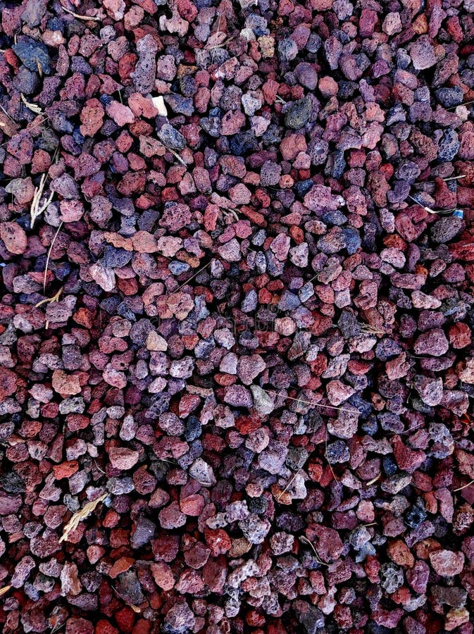 Red Huese Stock Photos - Free & Royalty-Free Stock Photos from Dreamstime