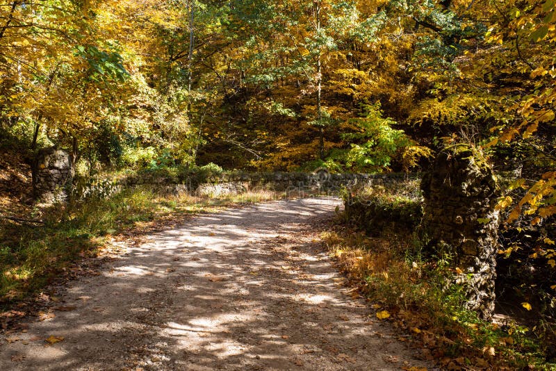 Gravel Path through the Fall Foliage. Stock Photo - Image of landscape ...