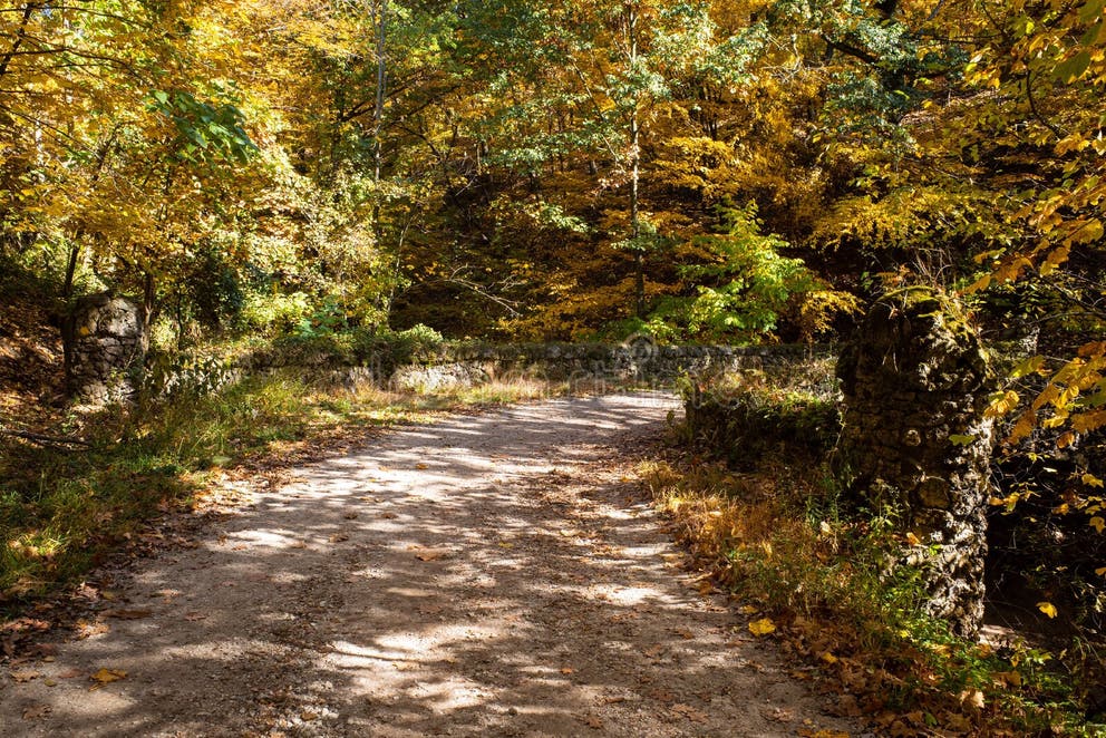 Gravel Path through the Fall Foliage. Stock Photo - Image of landscape ...