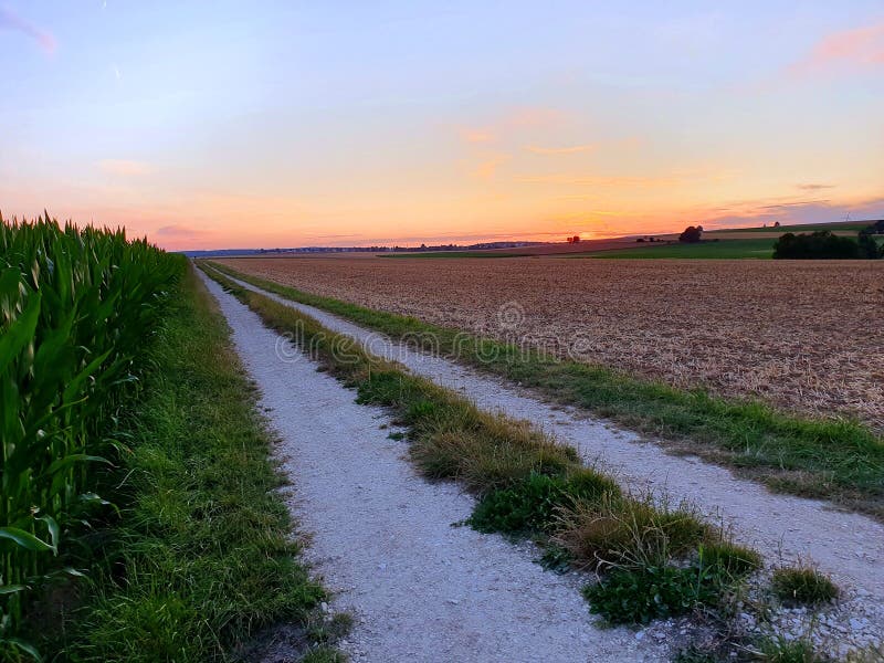 Gravel Path within Fields Leading into the Sunset Stock Photo - Image ...