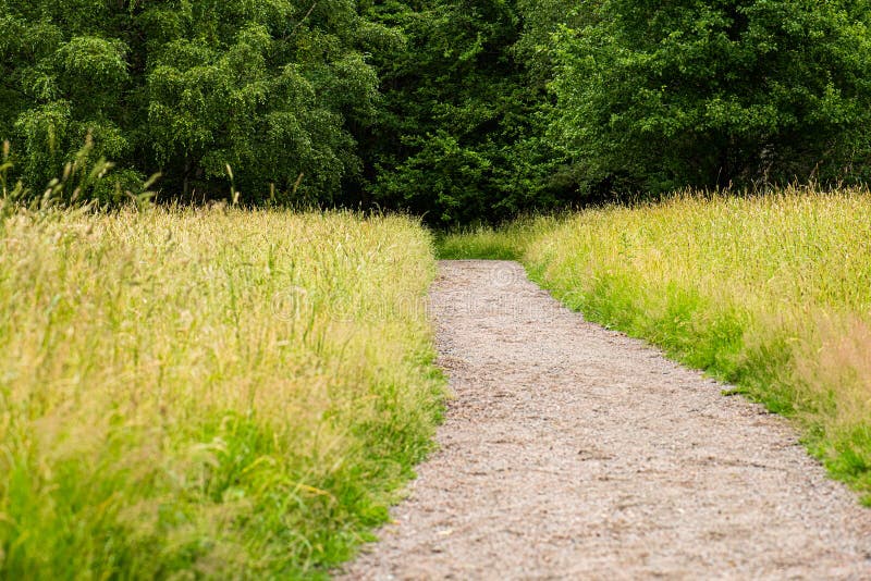 Gravel Path Going through a Grass Field.. Stock Image - Image of stone ...
