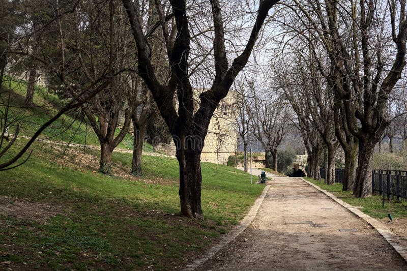 Gravel Path Next To a Lawn and Trees in a Park on a Cloudy Day Stock ...