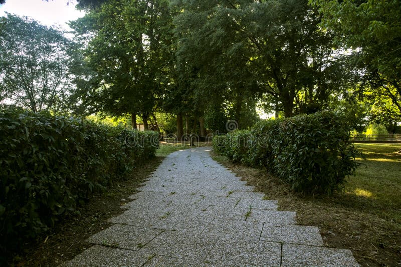 Gravel Path in the Shade in a Garden Stock Photo - Image of path ...