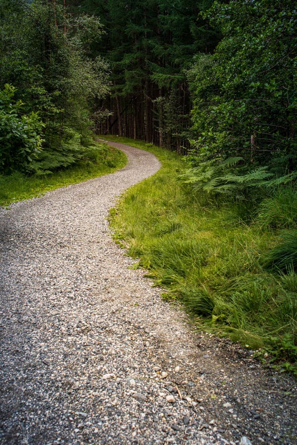 Gravel path stock photo. Image of small, green, gravel - 225982012
