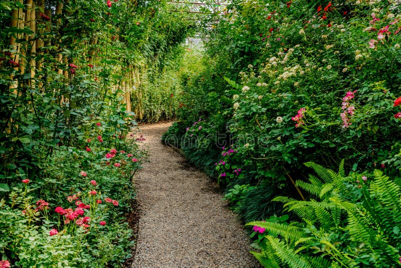 Pathway In Rose Garden, New Delhi Stock Image - Image of india ...