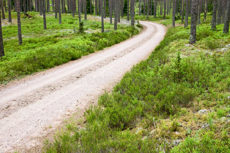 Gravel road stock photo. Image of bilberry, road, landscape - 10635396