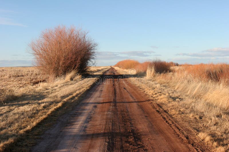 Gravel Road Picture. Image: 1879143