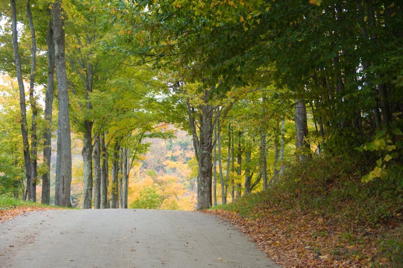 Cobalt, Ontario Gravel Road Stock Photo - Image of mining, cobalt ...