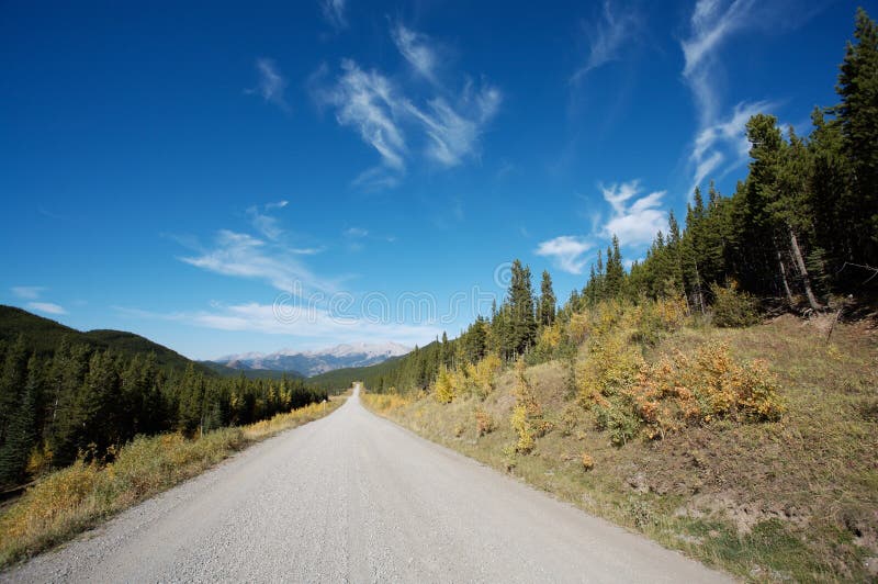 Gravel Road in the Back Country Stock Photo - Image of forest, back ...