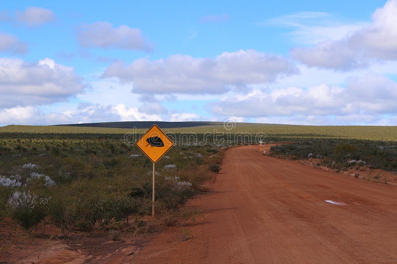 Echidna Warning Sign Stock Image Image Of Transport 122313045