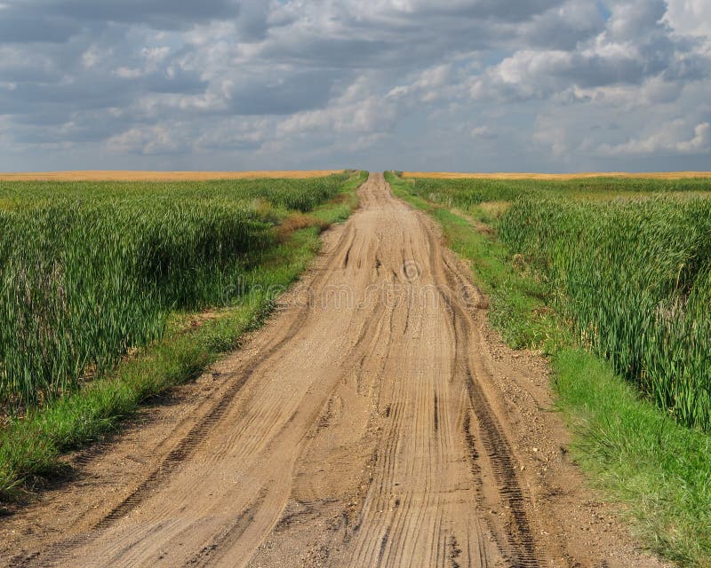 Gravel Road through Flat Prairie. Stock Photo - Image of gravel ...