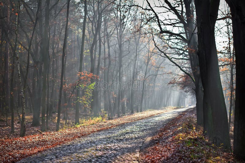 Gravel Road into the Fog stock image. Image of path, footpath - 25839037