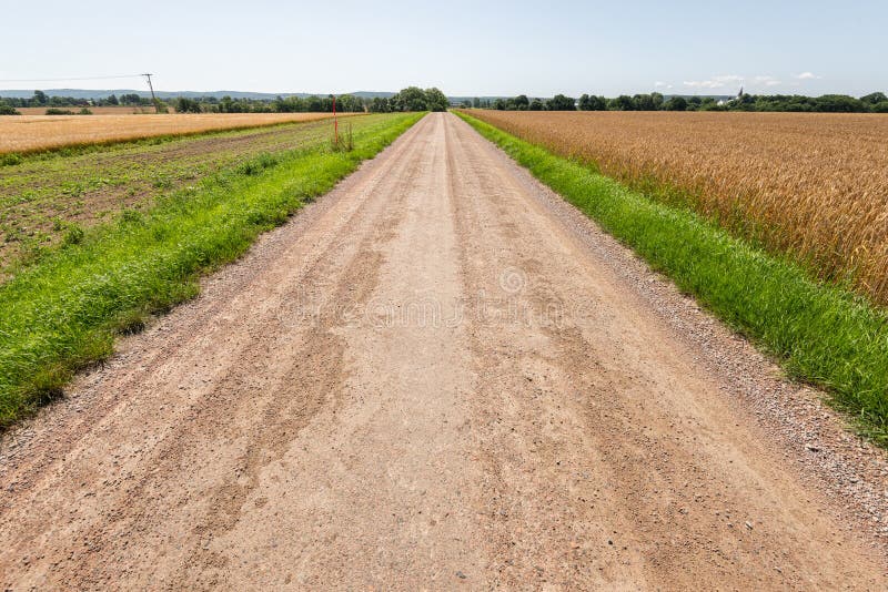 Gravel Road between Grass Fields Disappearing into the Horizon Stock ... Gravel Road between Grass Fields Disappearing into the Horizon Stock ...