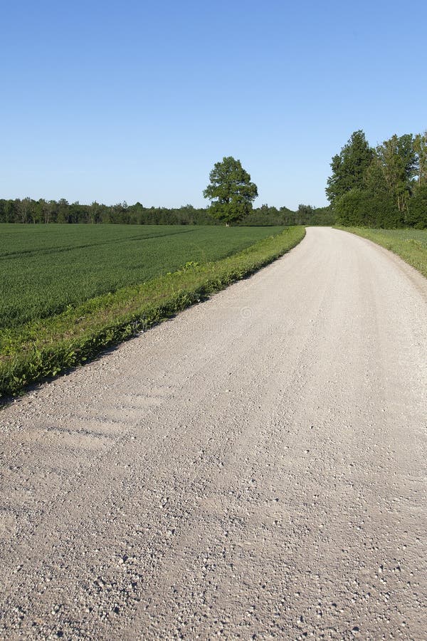 Gravel road. stock image. Image of path, green, tree - 24480373