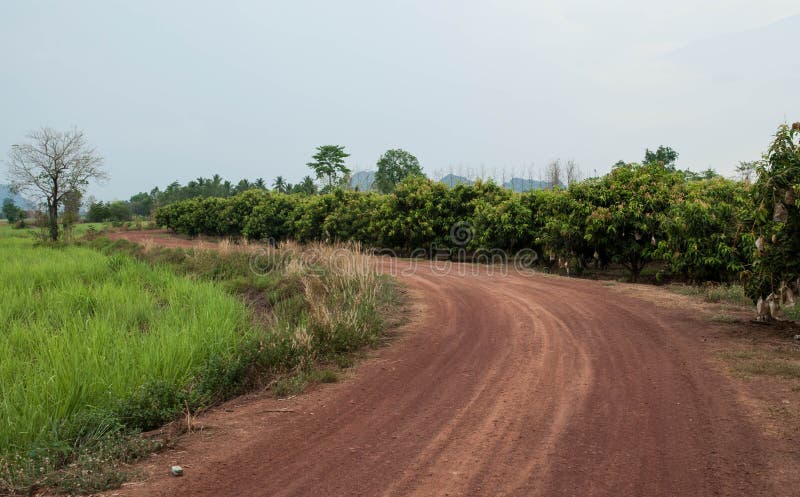 Gravel road stock photo. Image of scene, side, tranquil - 39897752