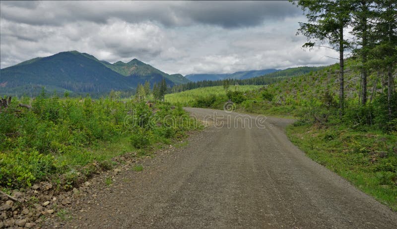 Gravel road stock photo. Image of road, backwoods, nothwest - 71600250
