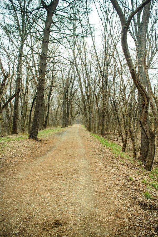 Gravel Walking and Bike Path through the Forest Stock Image - Image of ...