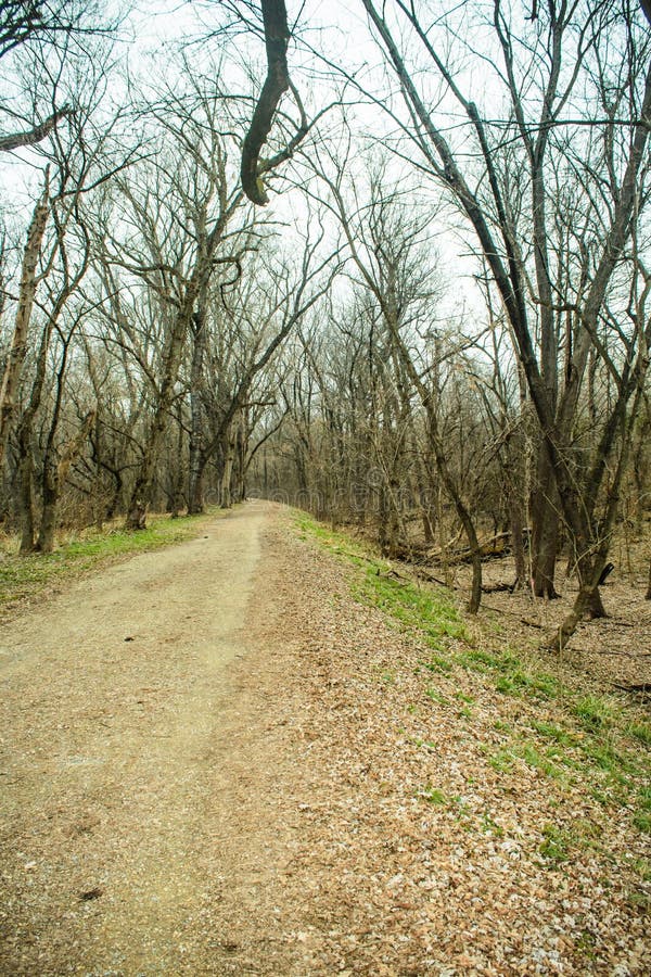 Gravel Walking and Bike Path through the Forest Stock Image - Image of ...
