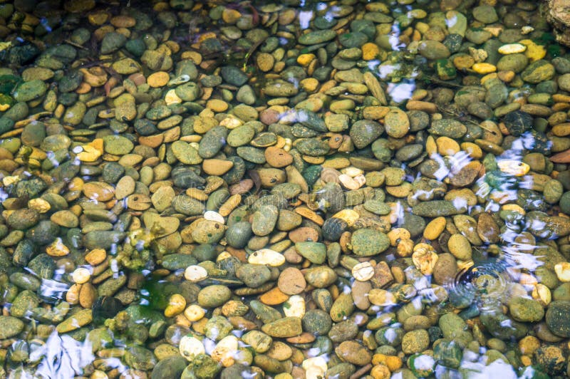 Gravel in water. stock image. Image of brown, pattern - 98233047